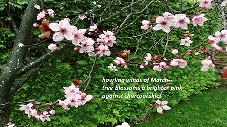 Entrée to Black Paris - Newsletter Archives - March 2020 - Paris Panorama